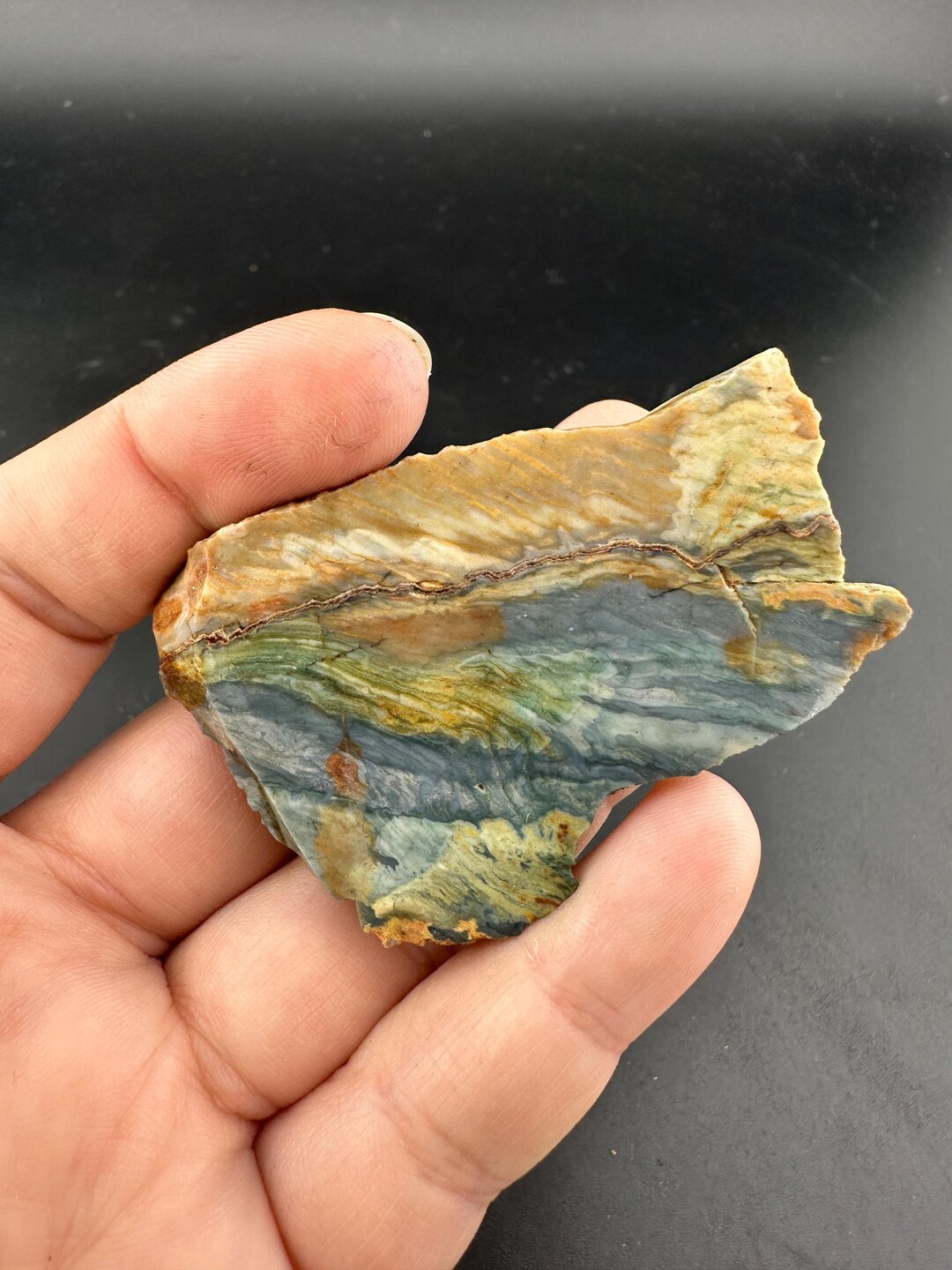 Gary Green Jasper Larsonite Bog Wood Freedom Jasper Ellipso Rough ...
