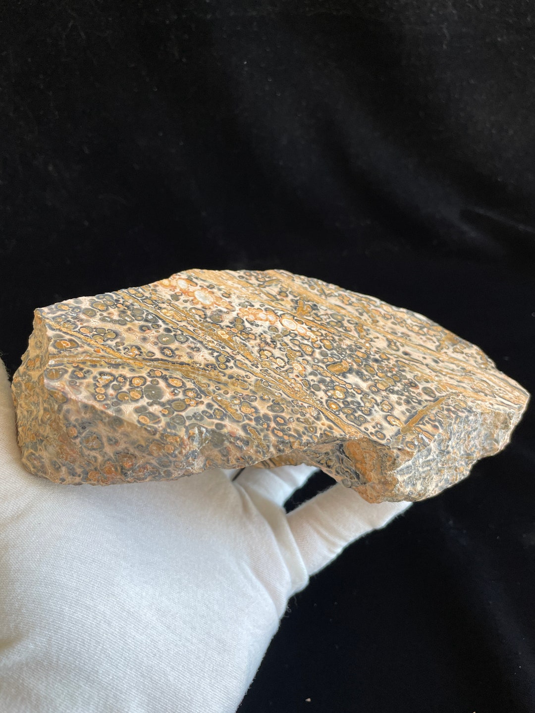 Leopard Skin Jasper Rough Lapidary Half Unpolished - Etsy