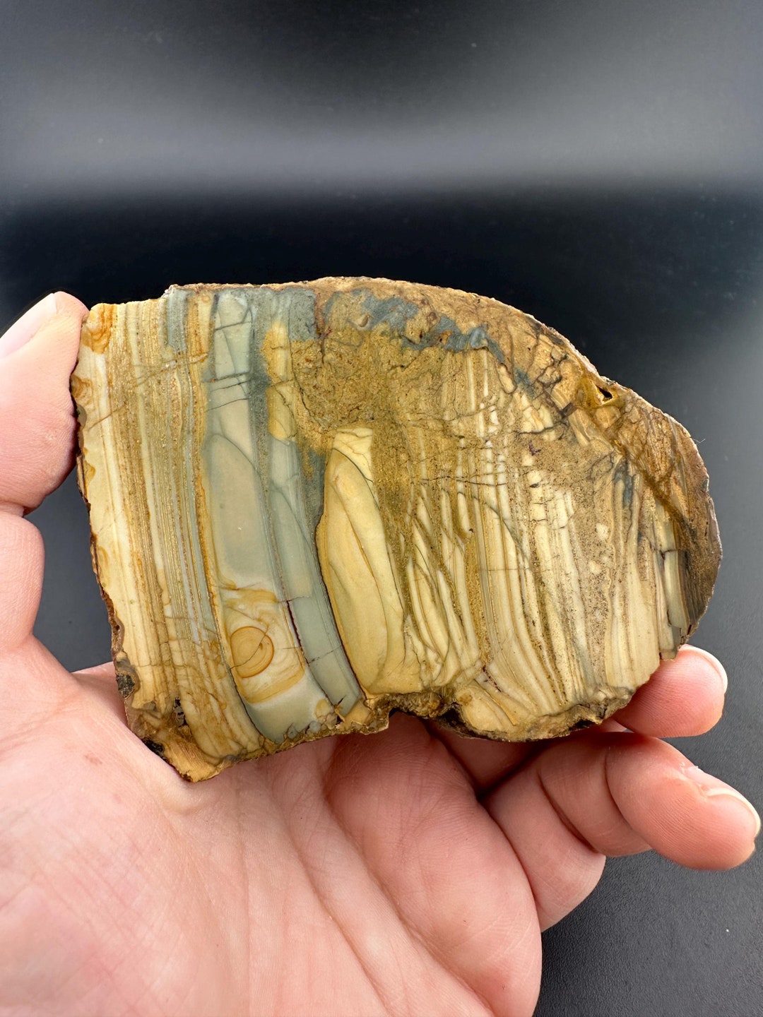 Blue Mountain Jasper - Orbicular - Rough Lapidary Half - Unpolished ...