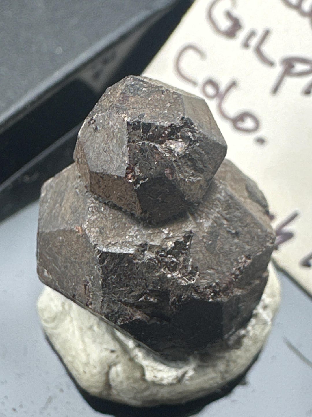 Garnet - Thumbnail Crystal - Near Black Hawk, Gilpin County, Colorado ...