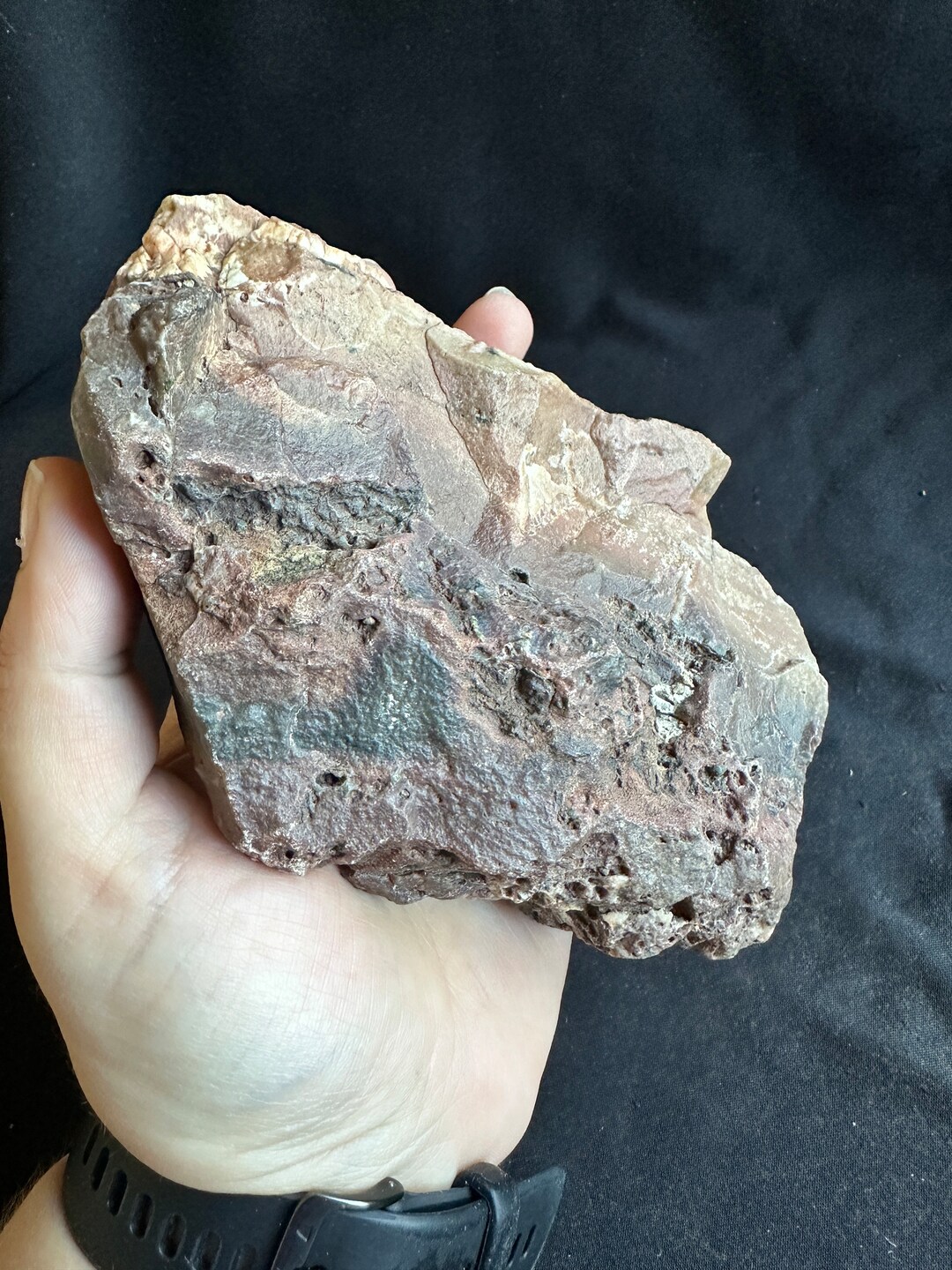 Green Petrified Wood - Limb Cast - Mixed Mineral - Hampton Butte ...