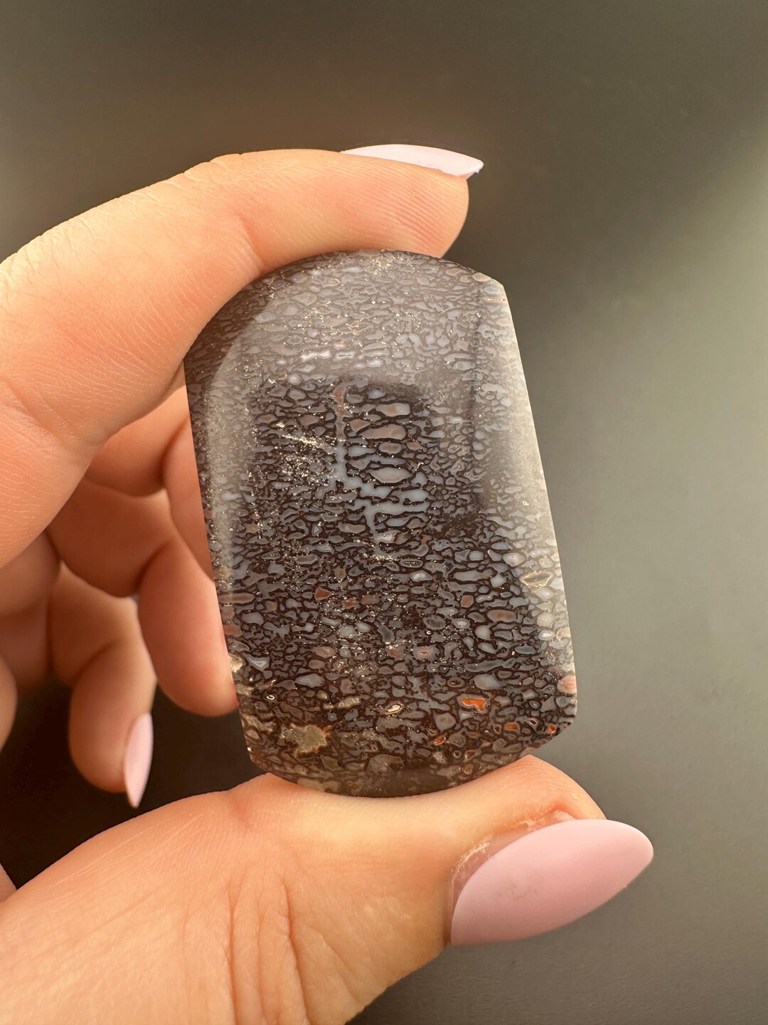 Dinosaur Bone - Cabochon - Etsy