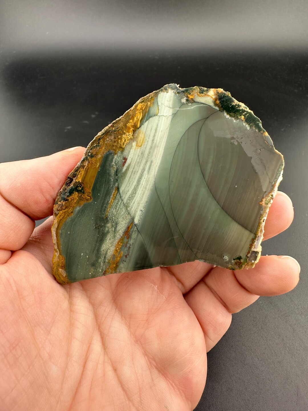 Blue Mountain Jasper - Orbicular - Rough Lapidary Half - Unpolished ...