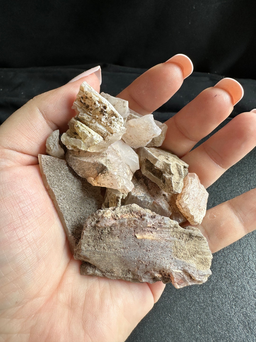 Pink Limb Casts - Lapidary Rough Cutter Special - Paulina, Oregon - Etsy