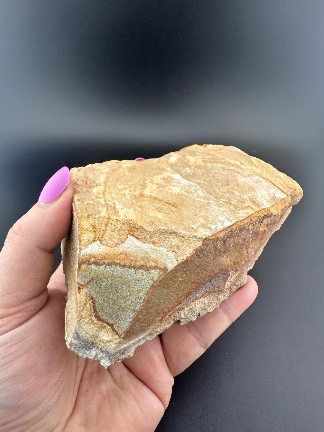 Chicken Track Picture Jasper - Lapidary Rough Chunk - Oregon - Etsy