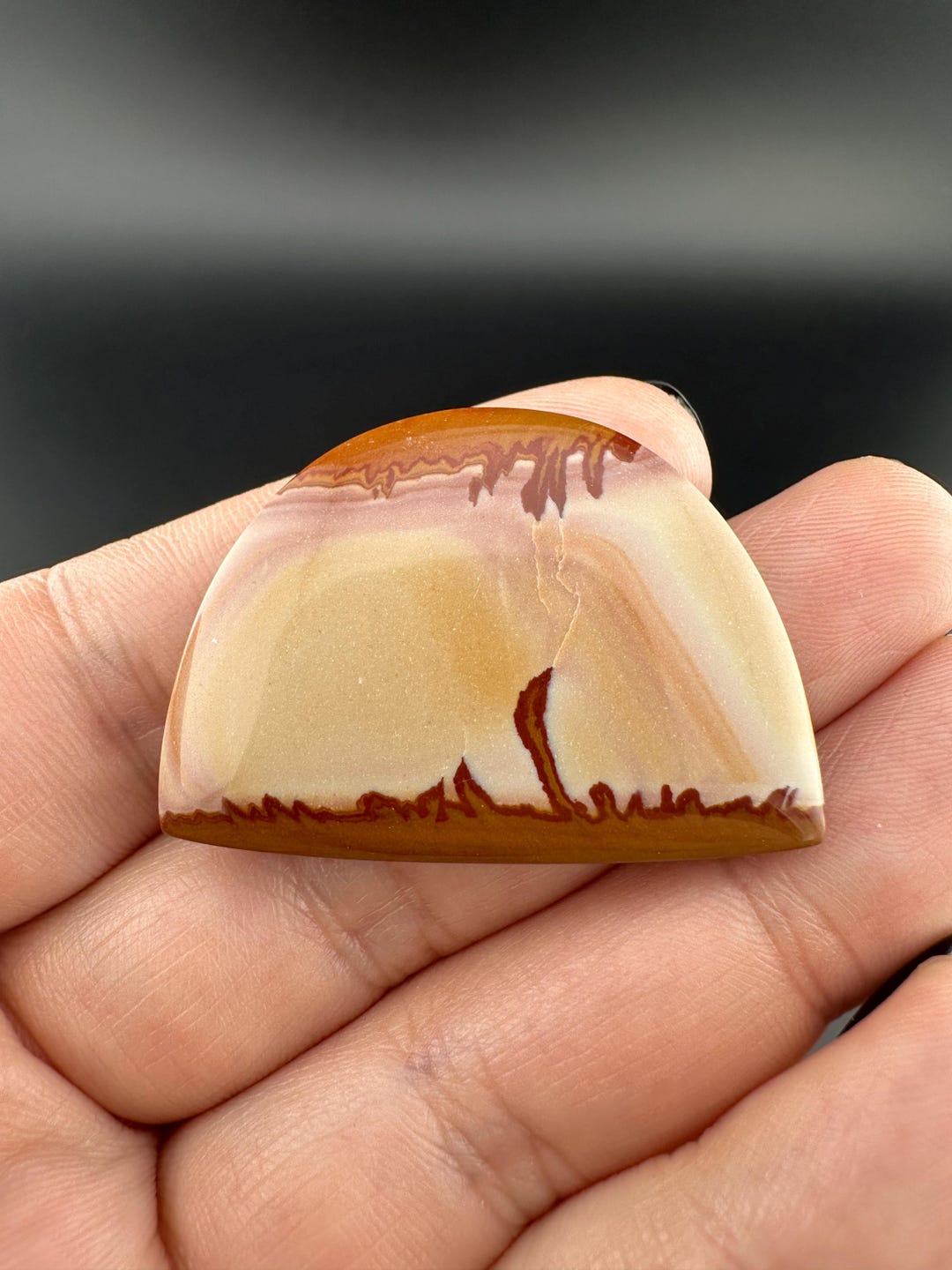 Red Falcon Jasper - Cabochon - Dead Camel Jasper Area - Nevada - Etsy