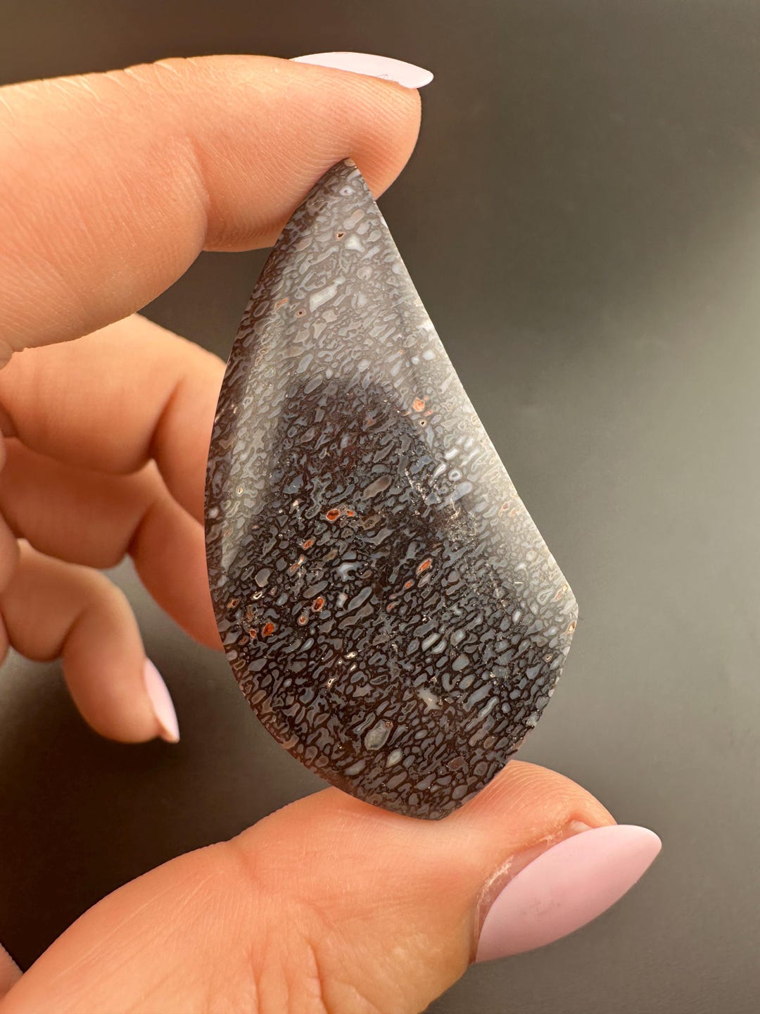 Dinosaur Bone - Cabochon - Etsy