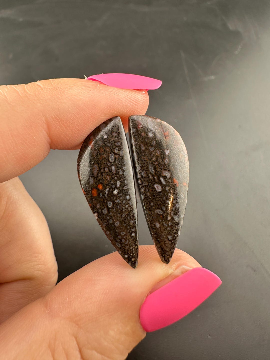 Dinosaur Bone - Polished Cabochon Pair - Etsy