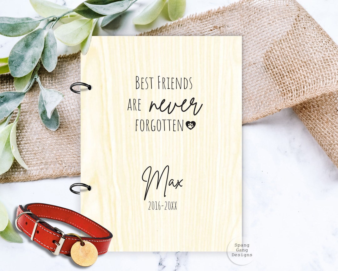 Best Friend Remembrance Gift Cat Sympathy Card Holder Dog Rainbow ...