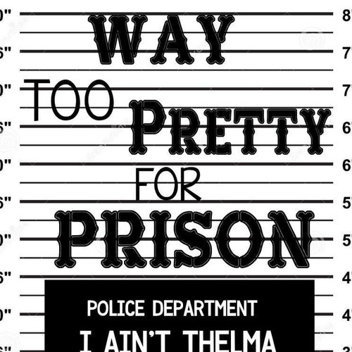 Too Pretty for Prison - Etsy