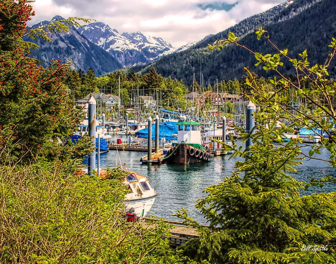 Sitka, Alaska Waterfront - Etsy