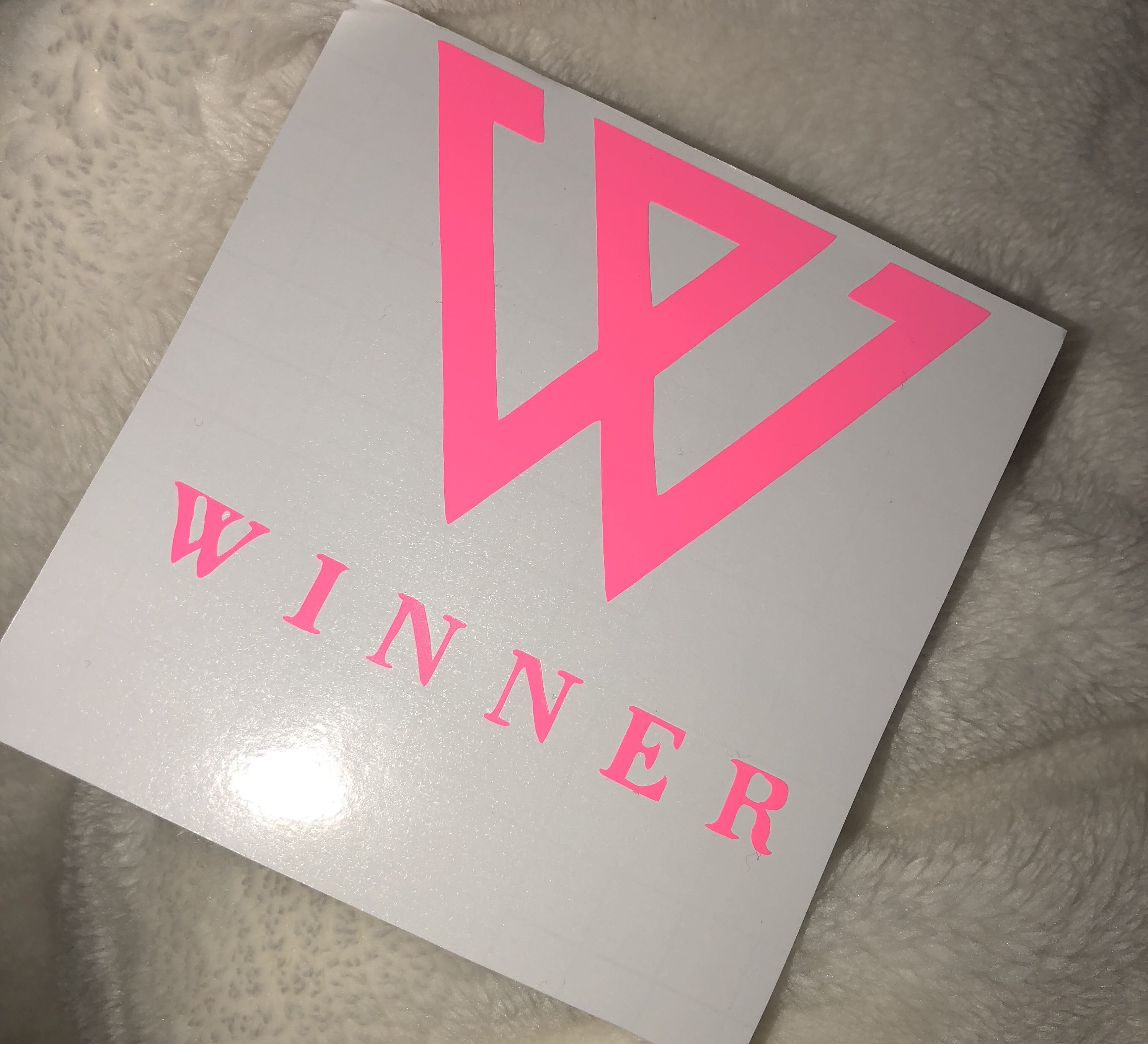 Winner Logo Decal