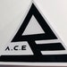 ACE Logo Decal - Etsy