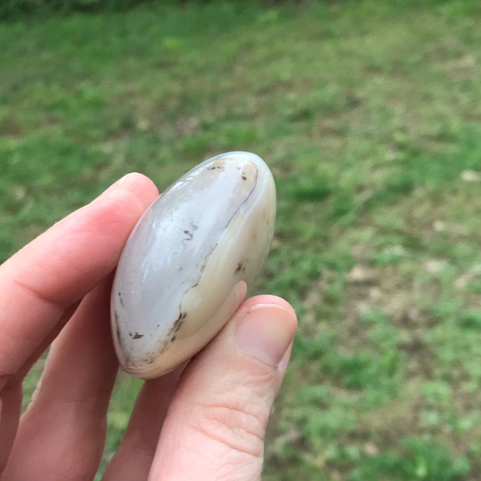 Dendritic Agate Fossilized Aquatic Plant Palm Stone - Etsy