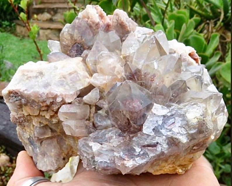 Asylum Quartz Crystal Cluster Congo, Zair - Etsy