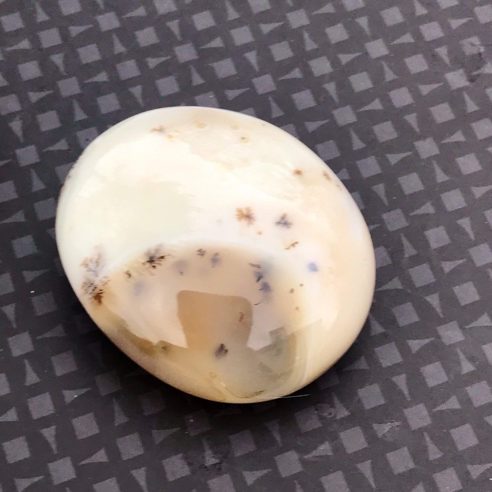 Dendritic Agate Fossilized Aquatic Plant Palm Stone - Etsy