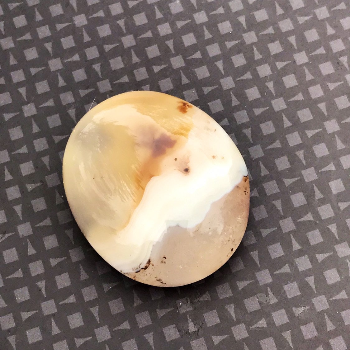 Dendritic Agate Fossilized Aquatic Plant Palm Stone - Etsy