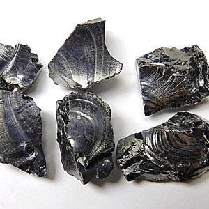 ELITE Shungite/noble Shungite Raw 25-35mm - Etsy