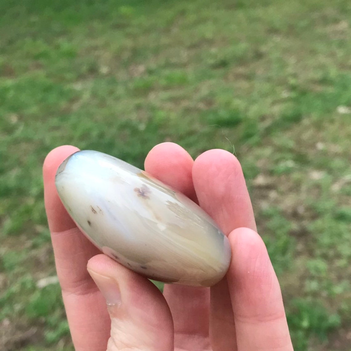 Dendritic Agate Fossilized Aquatic Plant Palm Stone - Etsy