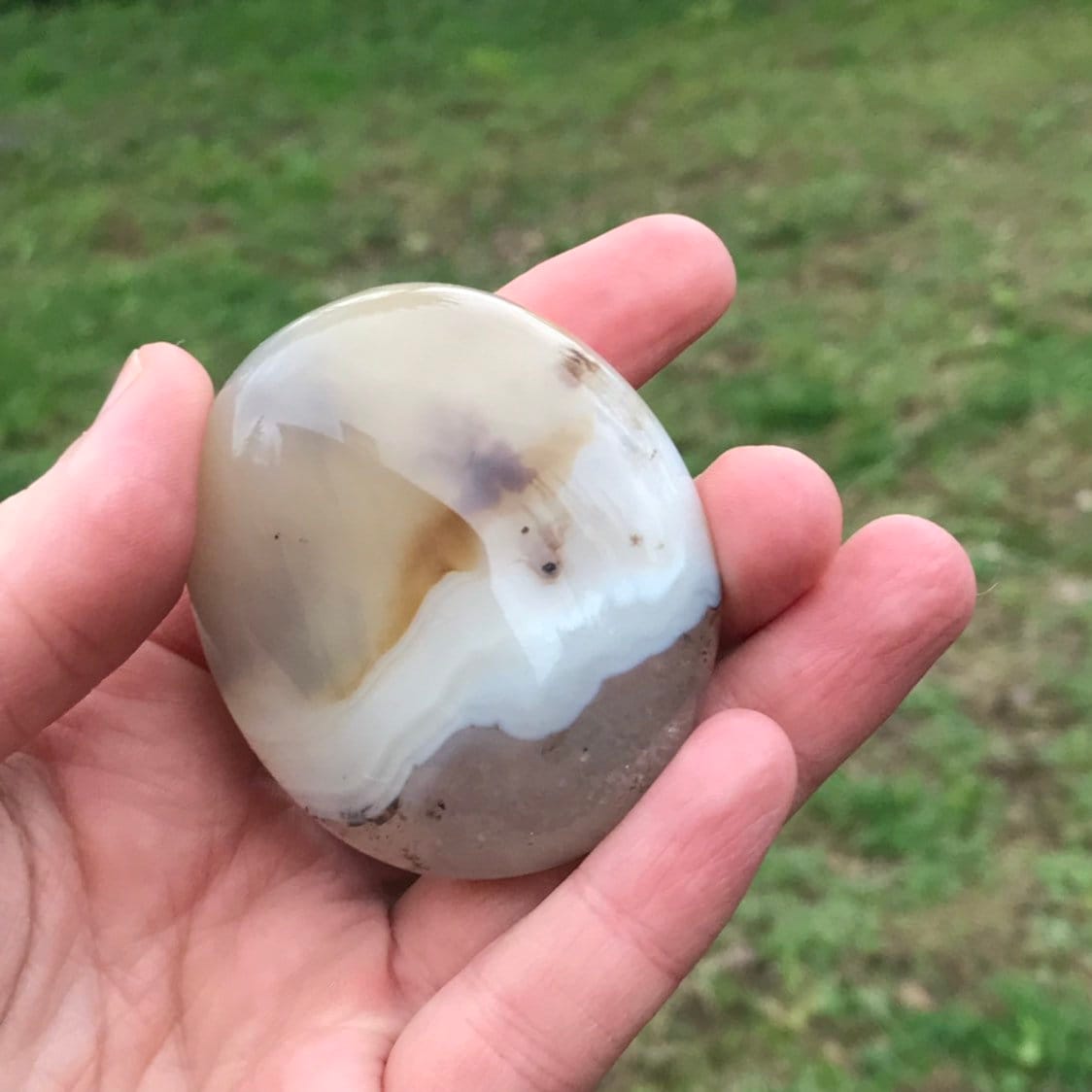 Dendritic Agate Fossilized Aquatic Plant Palm Stone - Etsy