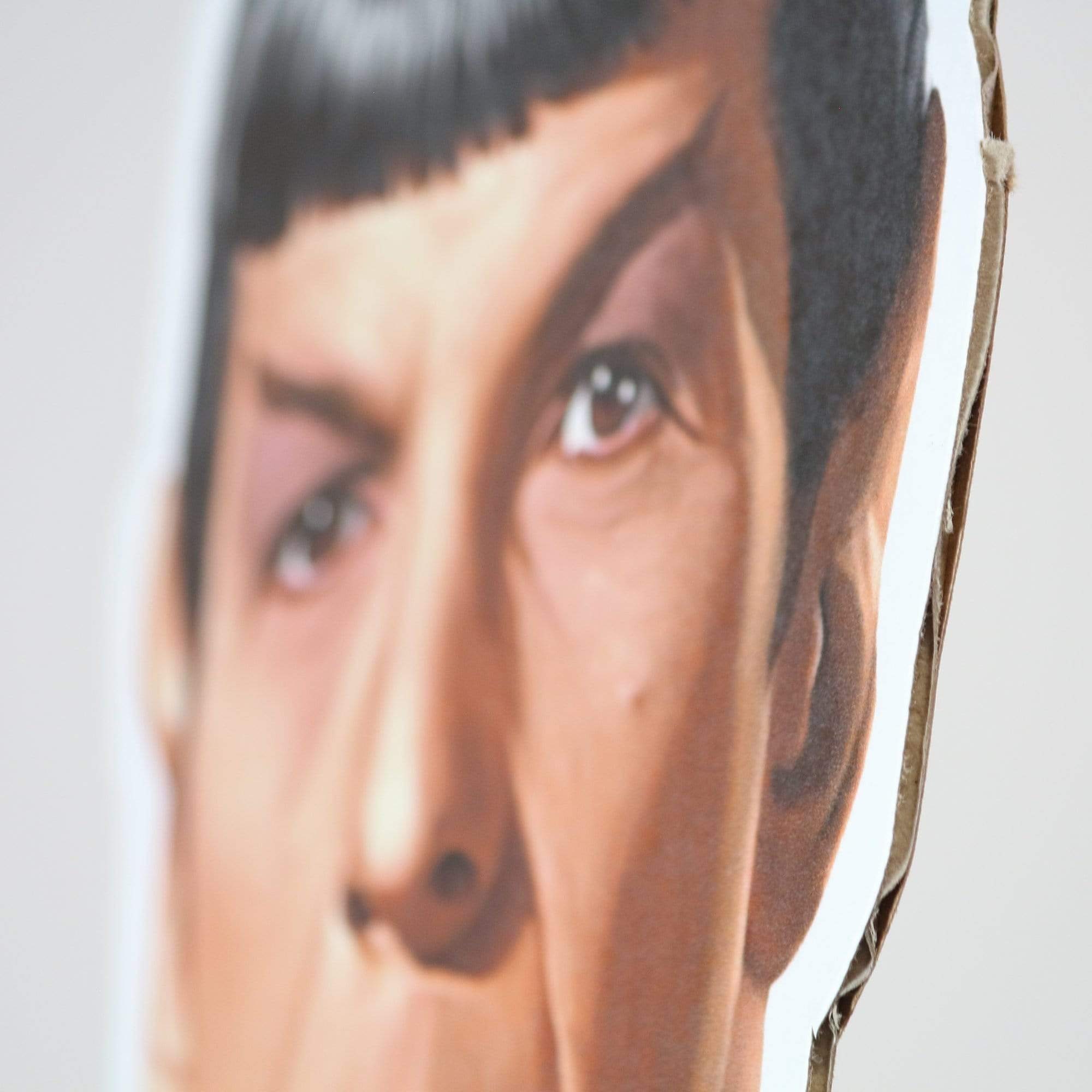 Star Trek the Original Series – Spock Standee Life-size Cardboard ...