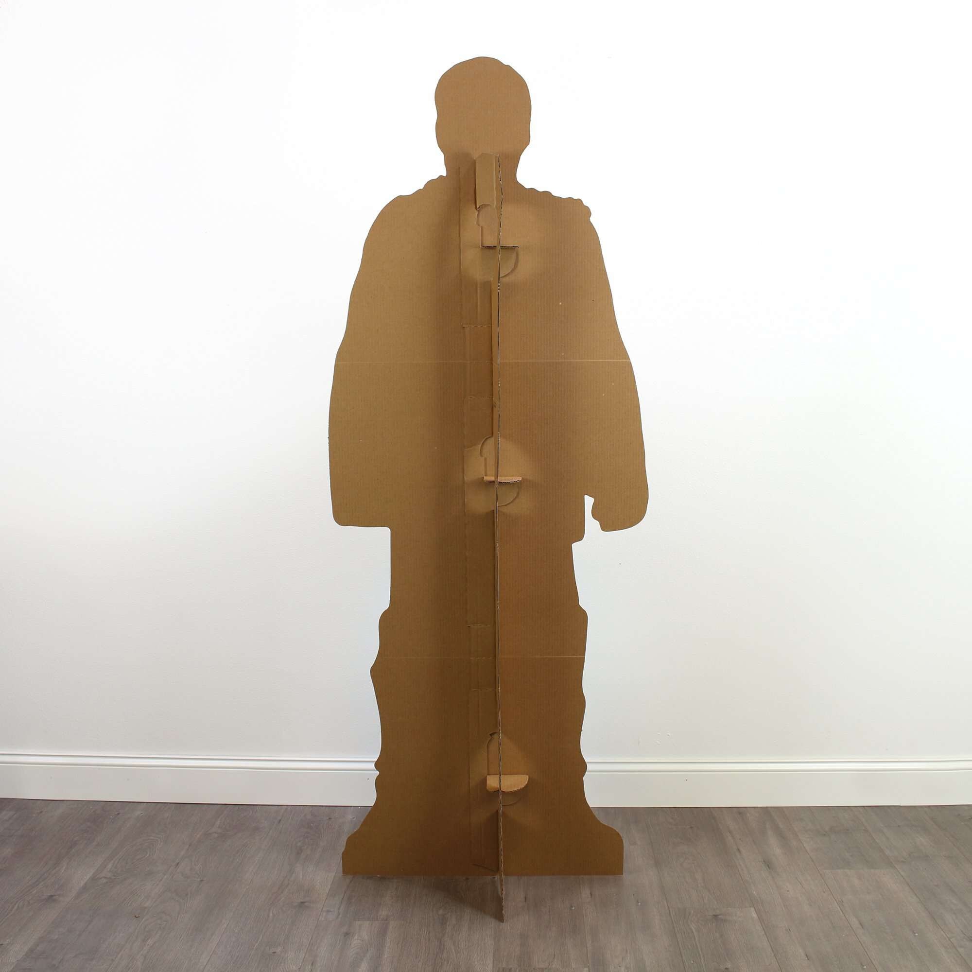 Captain Kirk Mirror Life-size Cardboard Cutout Use as Star - Etsy