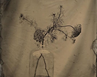 Wet Plate Collodion Photography Print Skull with lens eye