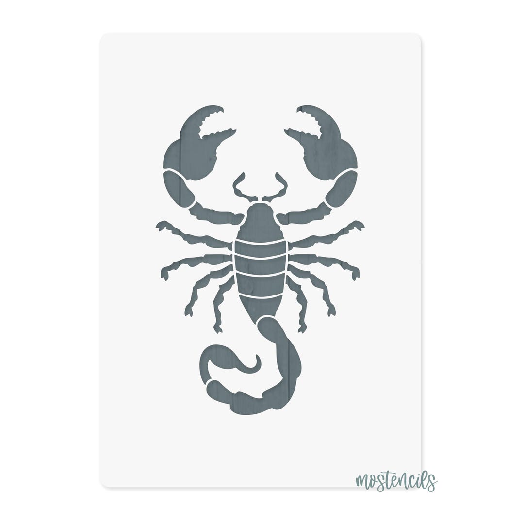 Scorpion Stencil Reusable Motif Size 9.44" X 6.29" 24x16cm - Etsy