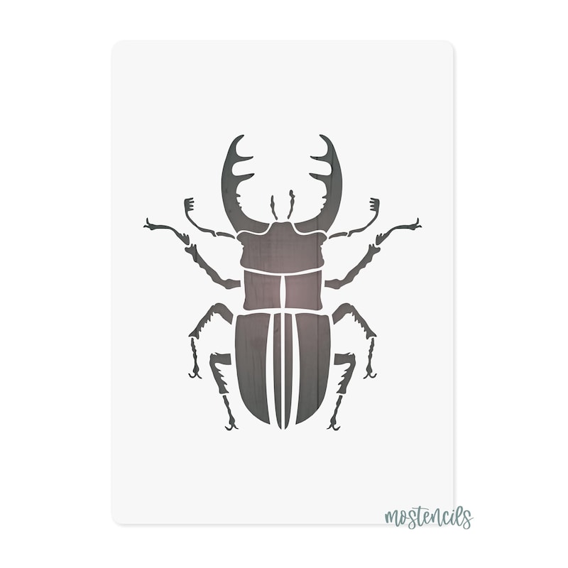 Insect Stencil - Etsy