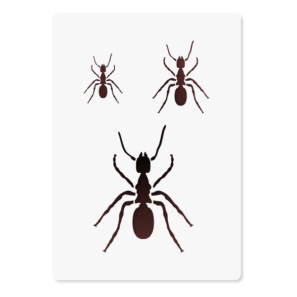 Formica - Etsy Italia