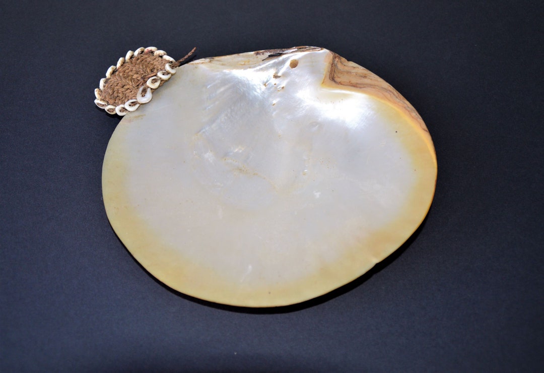 Large Mussel Shell, Pastry Plate, Serving Plate - Etsy