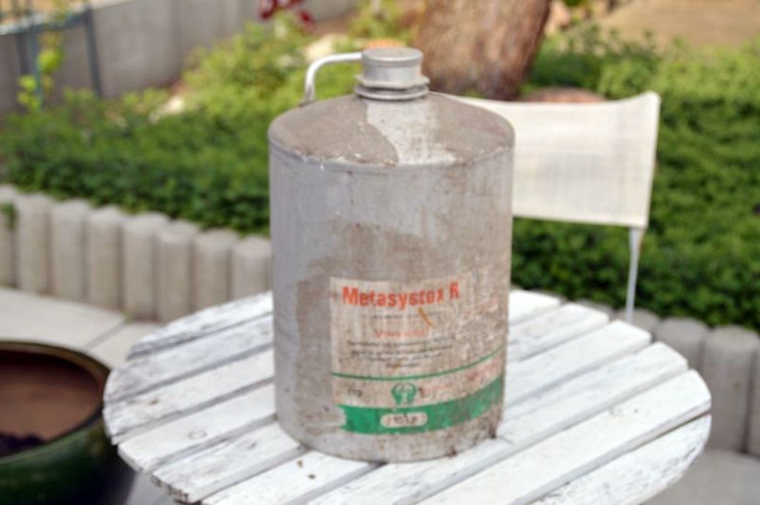 Old Zinc Container, Garden Decoration, Vintage Container, - Etsy