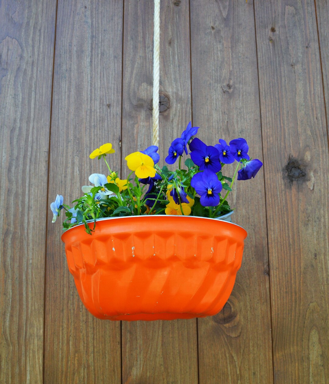 Old Cake Tin as a Hanging Basket, - Etsy