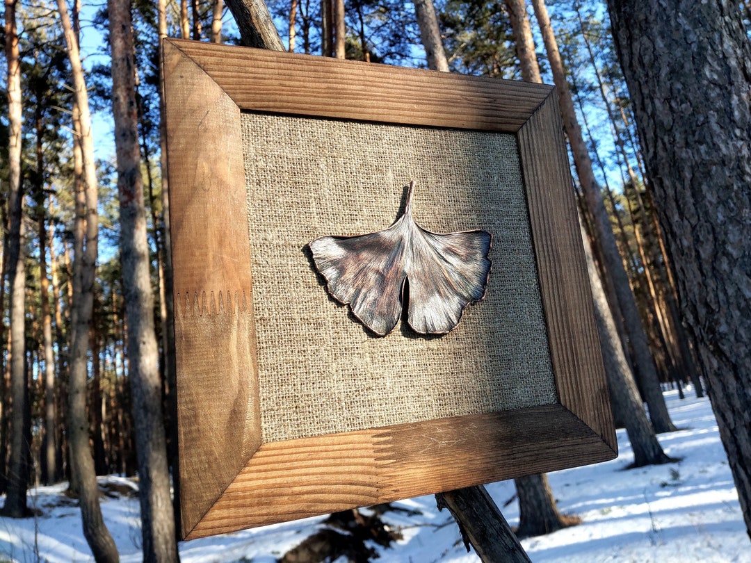 Real Ginkgo Biloba Leaf Art. Gingko Biloba Tree Wall Art, Botanical ...