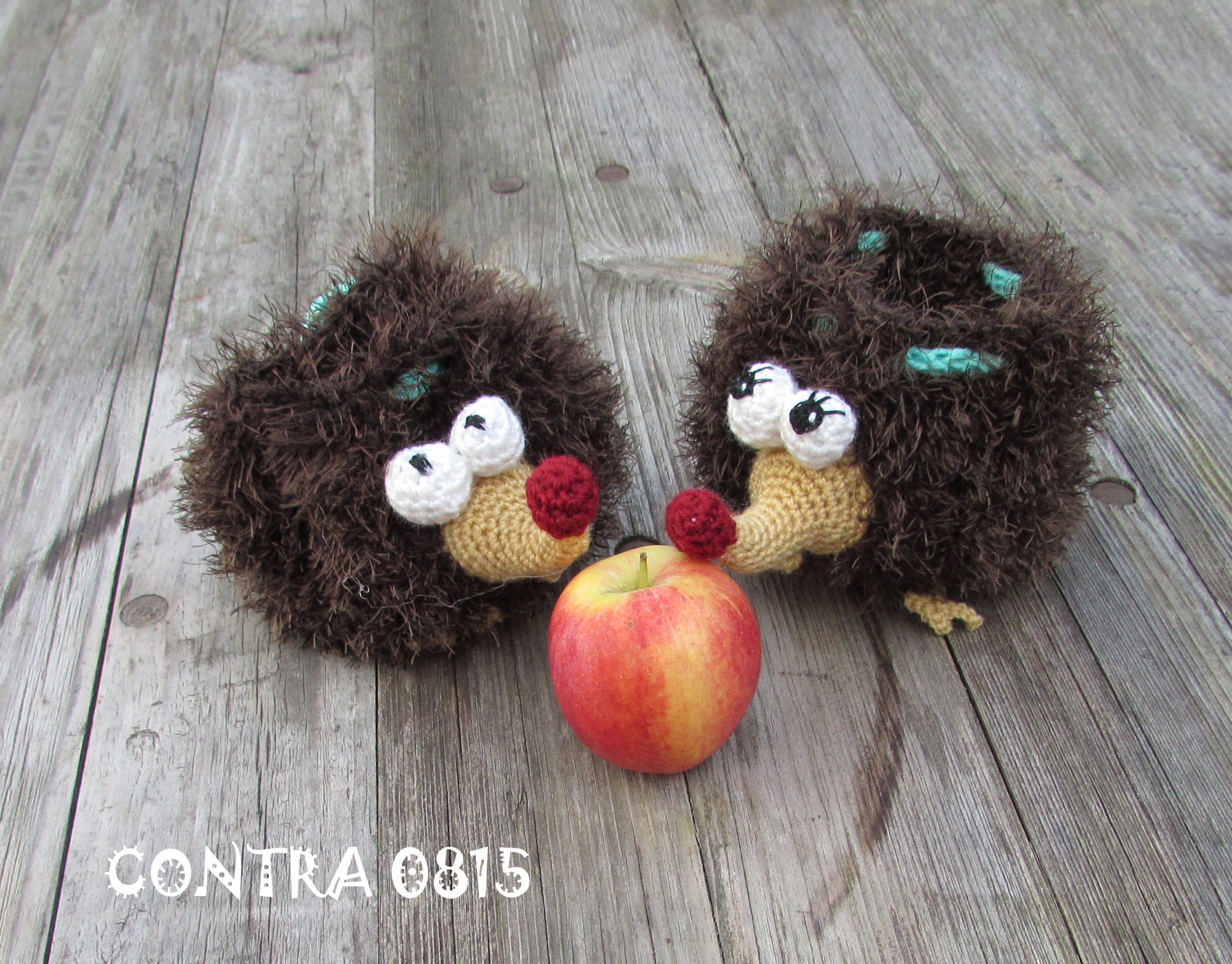 Igel Igelchen Lunch Bag Apfeltasche Adventkalenderfüllung - Etsy.de