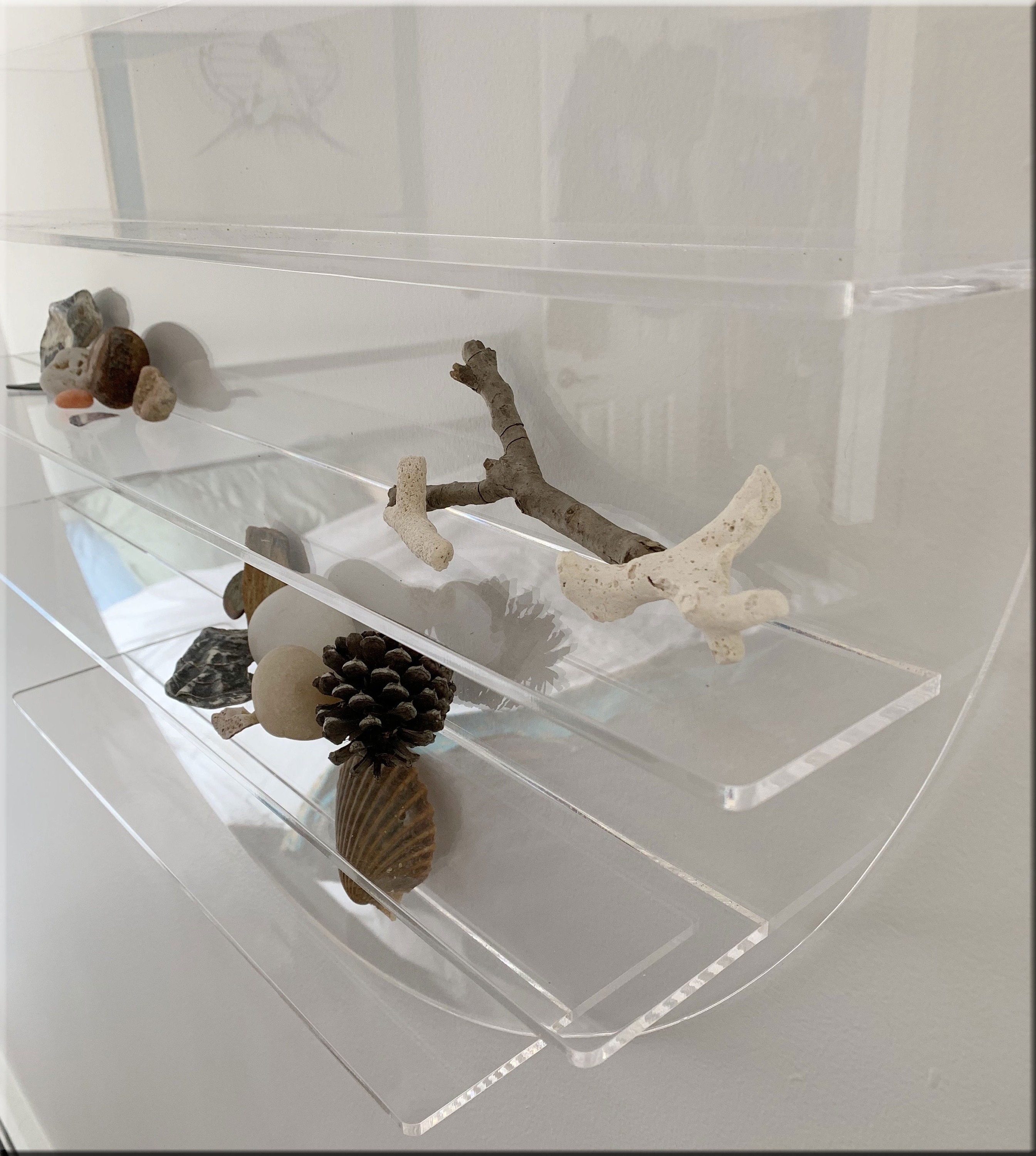 Round Circular Clear Acrylic wall mounted display shelves keep | Etsy