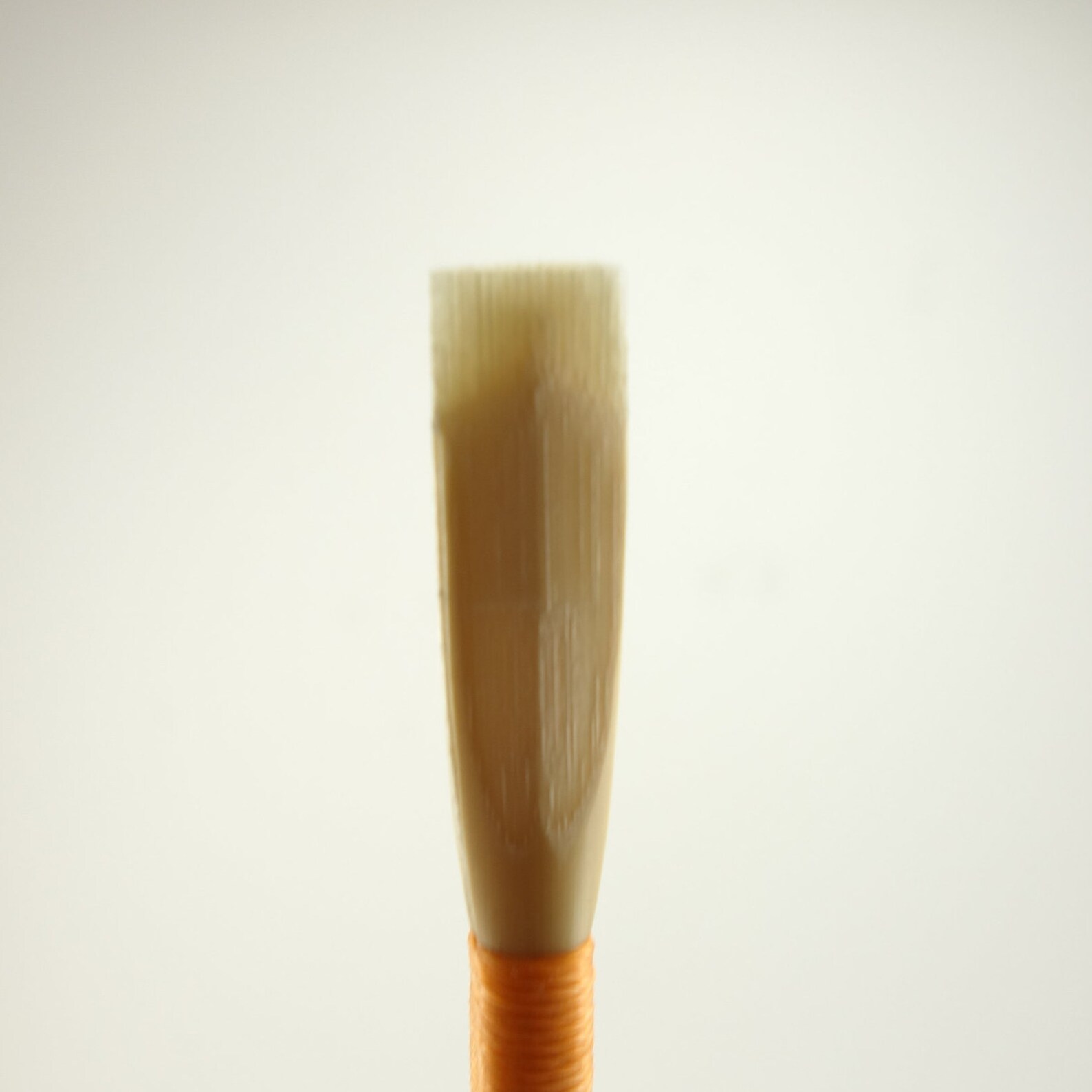 Beginner Oboe Reed (1 Reed) - Etsy