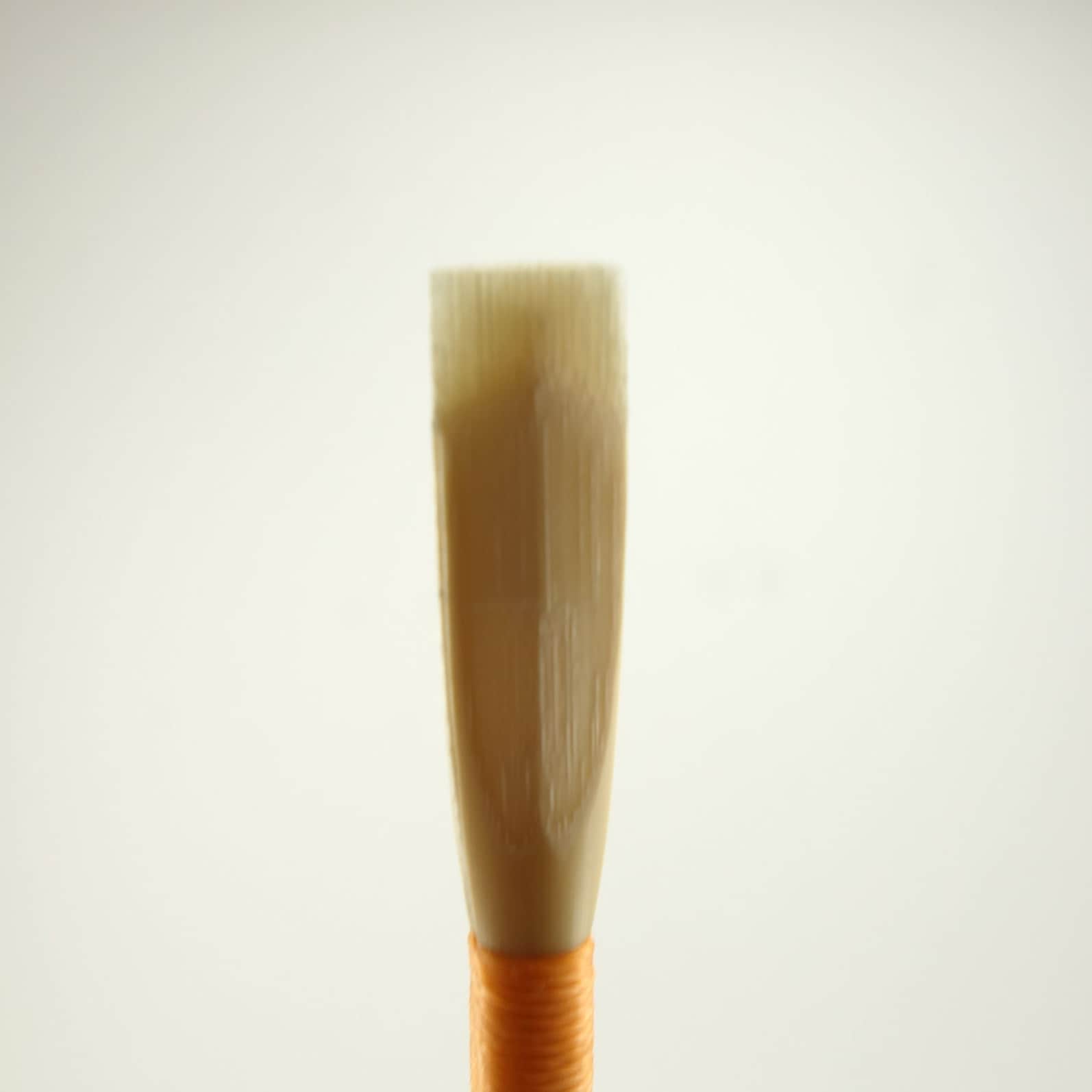 Beginner Oboe Reed (1 Reed) - Etsy