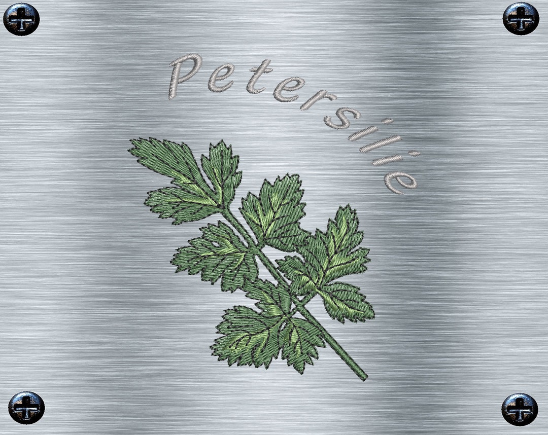 Embroidery File Parsley 10 X 10 Frames Kitchen Embroidery - Etsy