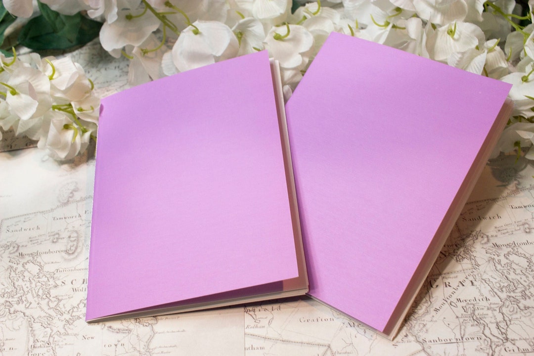 Purple Dice D&D Character Sheet Notebook 2 Pack: 5e Campaign Journal - Etsy