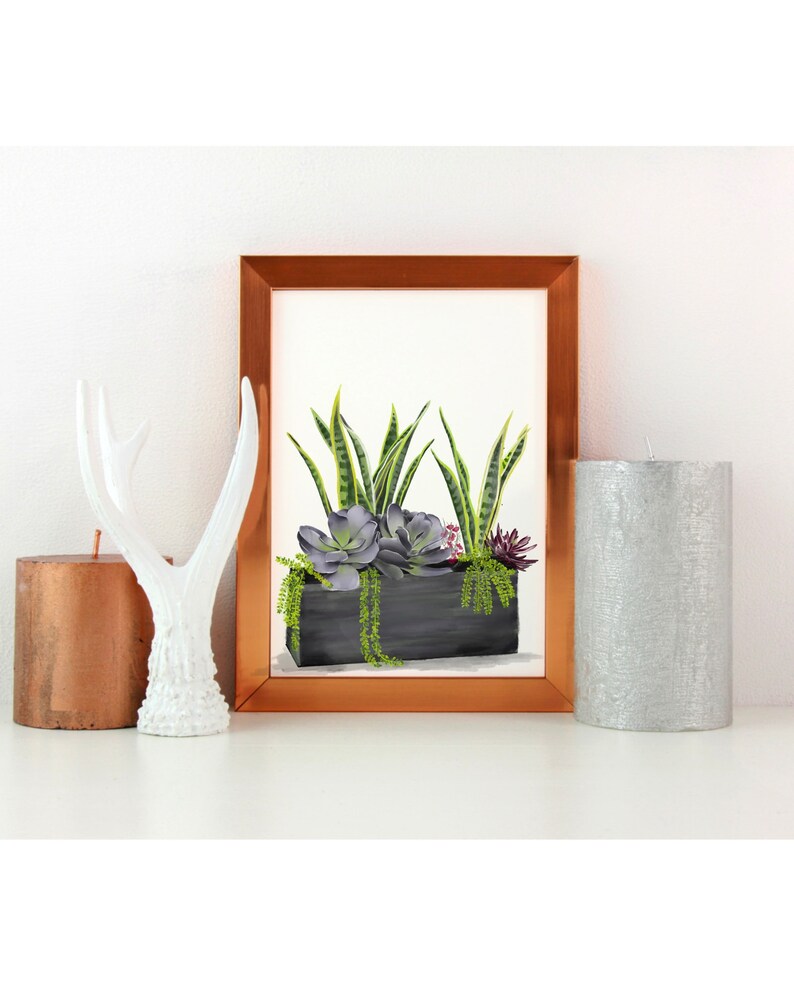 Botanical Print, Succulent Plant Poster, Boho Decor, Plant Lover Gift ...