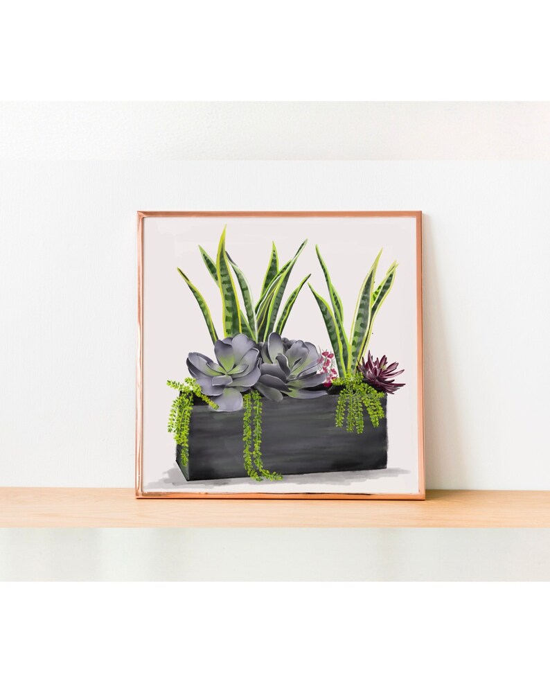 Botanical Print, Succulent Plant Poster, Boho Decor, Plant Lover Gift ...