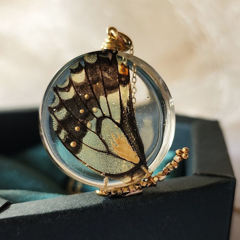 Butterfly Jewelry - Etsy