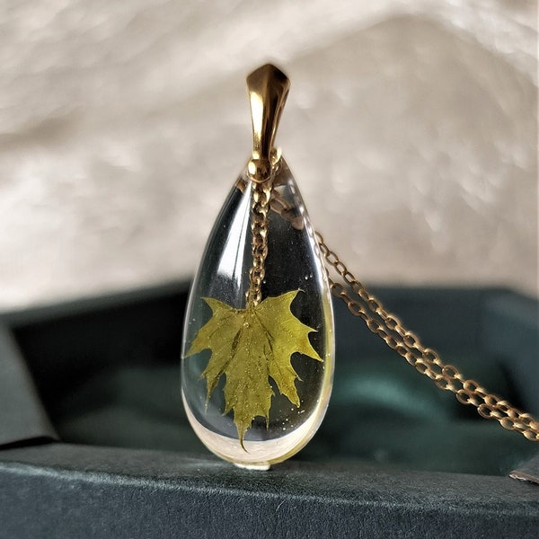 Real Maple Leaf - Etsy