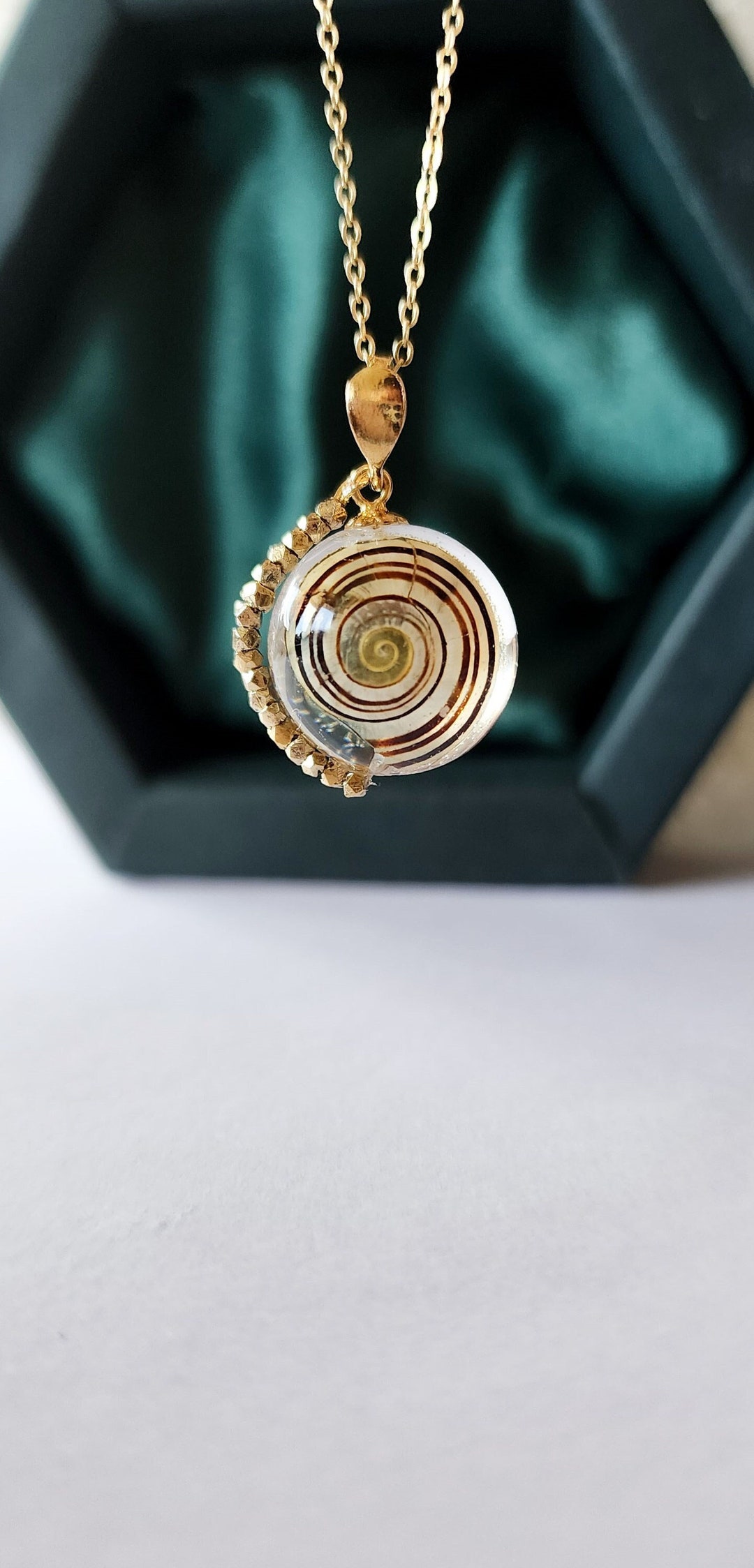 Real Snail Necklace Handmade Bio Organic Resin Necklace Snail Jewelry ...
