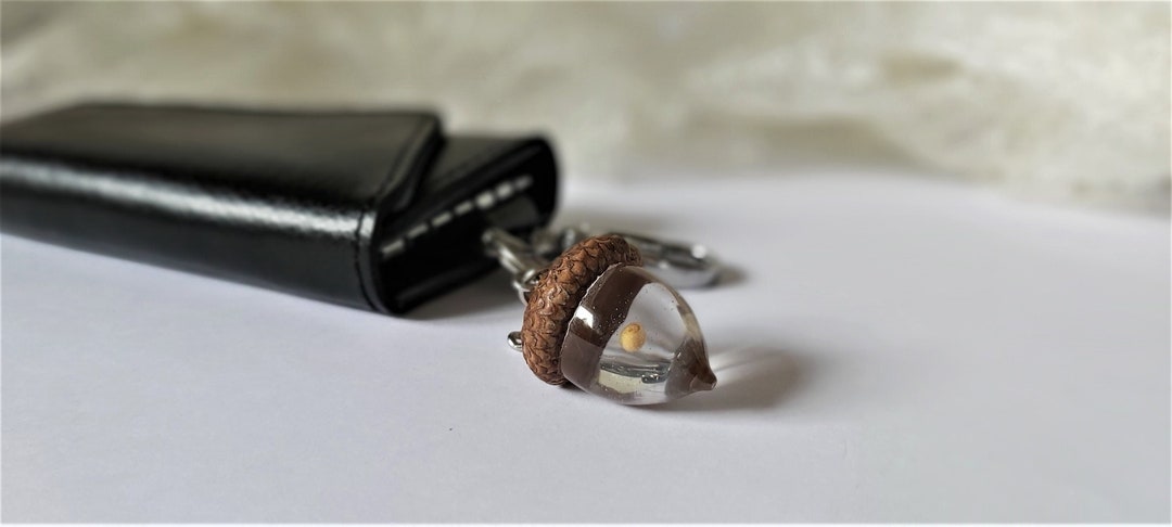 Real Mustard Seed Key Chain Acorn Jewelry Faith of a Mustard Seed Men's ...