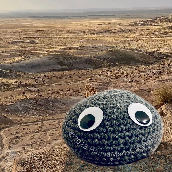 Googly Eye Rock - Etsy