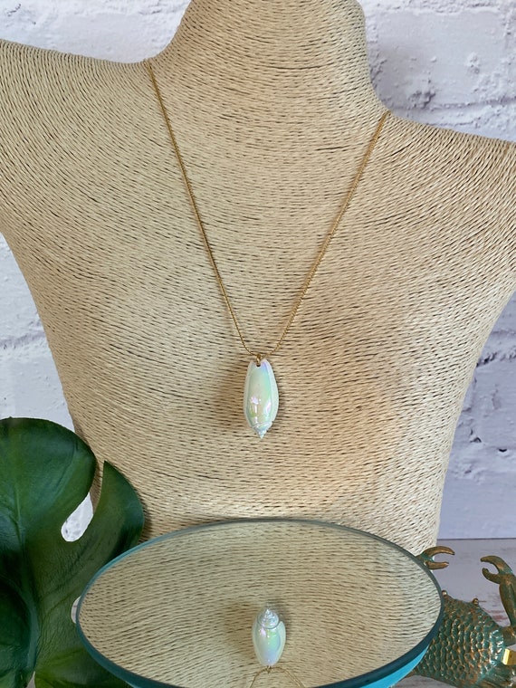 Seashell Necklace White at Dorothy Bufkin blog