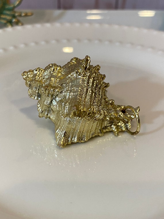 gold gilded eastern murex - Gem