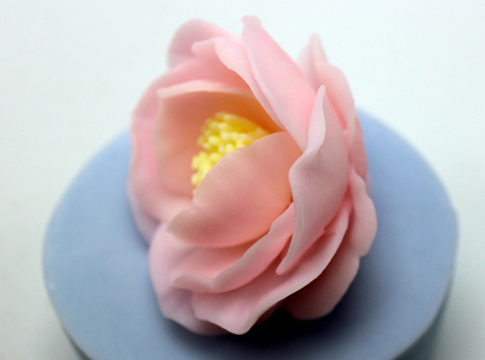 3d Magnolia Silicone Mold. Southern Magnolia Silicone Mold for Soap ...